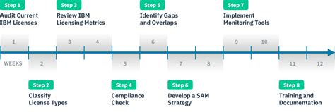 Ibm Cloud Licensing Management Guide