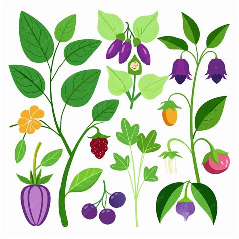 Nightshades Vector Art Premium Ai Generated Vector