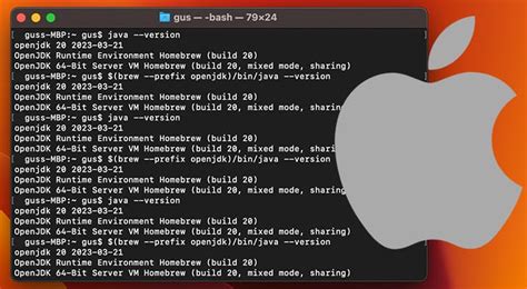 How To Install Php On Macos Pi My Life Up