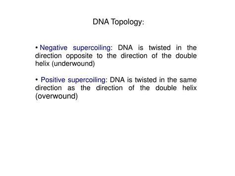 Ppt Dna Is Composed Of Complementary Strands Powerpoint Presentation Id 3609983