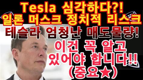 Tesla 심각하다 일론 머스크 정치적 리스크까지테슬라 엄청난 매도물량이건 꼭 알고 있어야 합니다중요★ 테슬라