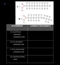 Answered C Ċ Ċ C C C C C C C H нннн нн ННн ннннн bartleby