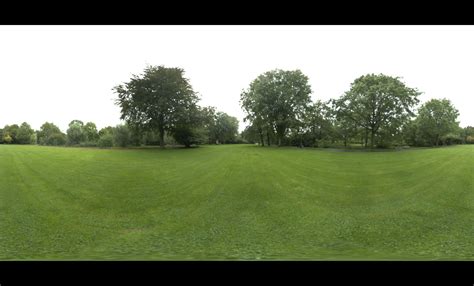 Clean Light Lawn Grass Hdri Free Nature Hdrs Blenderkit