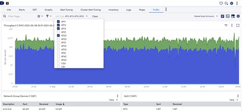 Viewing Filtering And Reporting On Network Traffic Flow Data