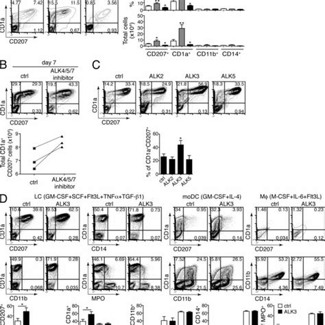 Gene Expression Analysis Clustering Using Complete Linkage Algorithm