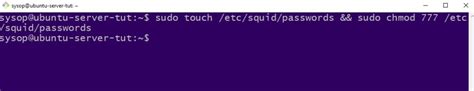 How To Install And Remotely Access Squid Proxy On Ubuntu 2204 Format