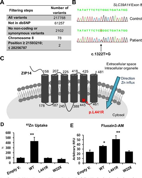 Figure 1 From Conditional Mouse Models Support The Role Of Slc39a14 Zip14 In Hyperostosis