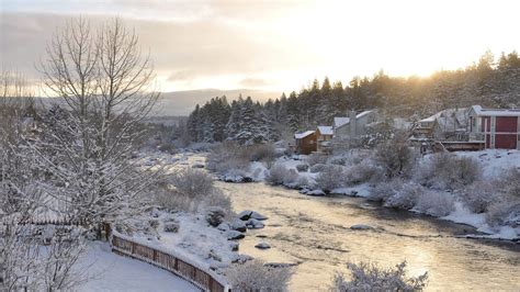 Town Of Truckee Linkedin