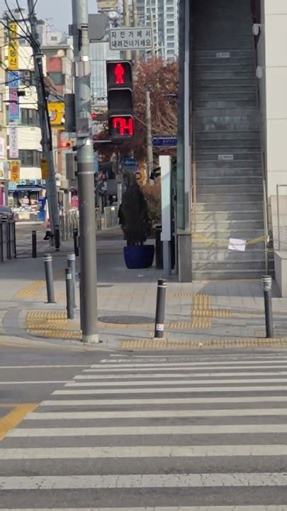 보행신호등 적색 잔여시간 표시기 뛰지마세요 도로교통 일상주변 Shorts 쇼츠 Youtube