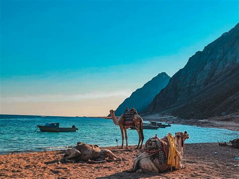 Hossam Adel Photographie