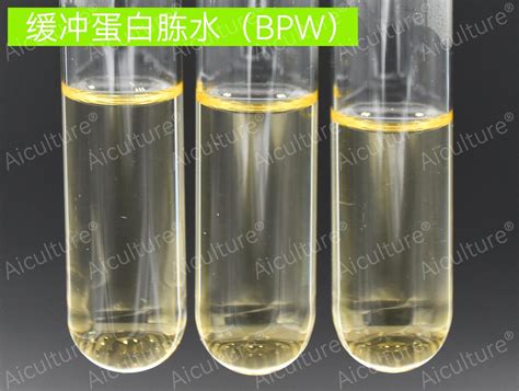 Aiculture Gb 4789 4 2024 沙门氏菌检验培养基原理解析 知乎