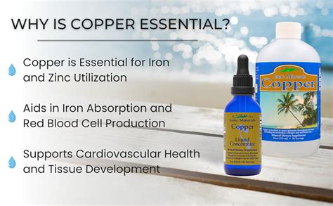 Eidon Ionic Minerals Copper Ionized Copper Supplement For