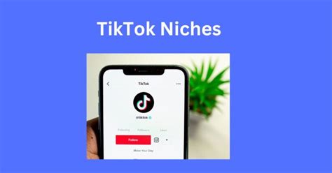 10 Most Profitable Tiktok Niches To Start In 2025