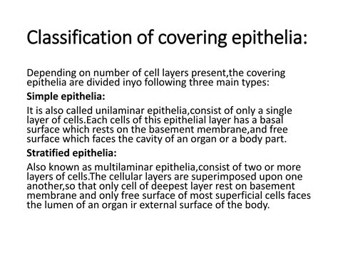 Tissue Of Body Epithelium Classification And Occurence With Diagram Ppt