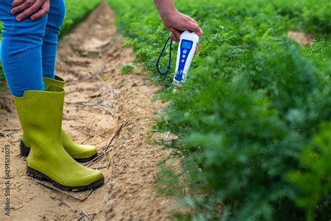 Measure Soil With Digital Device Green Plants And Woman Farmer Measure PH And Moisture In The