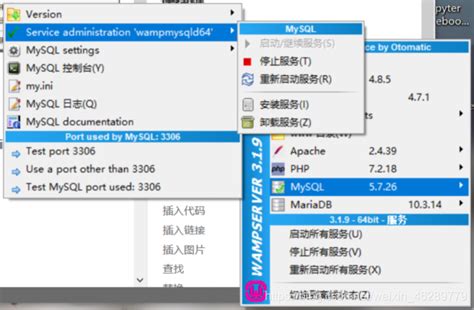 在wamp环境中配置与使用mysql csdn博客