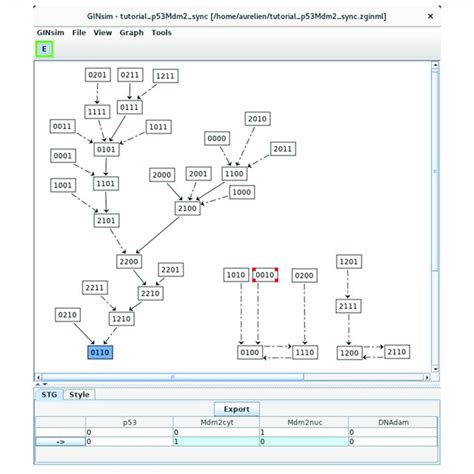 Asynchronous State Transition Graph For The P53 Mdm2 Model This Stg Download Scientific