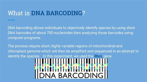 Dna Barcoding Presentation Group 3