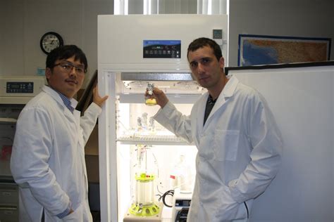 Comparative Functional Analyses Of Mixotrophy Among Microbial Eukaryotes Caron Lab