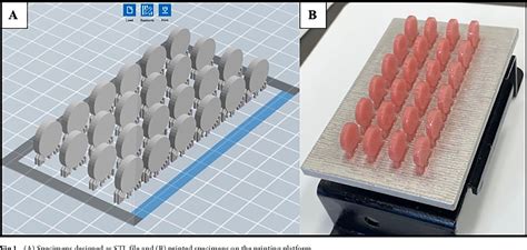 Figure 1 From Microbial Adhesion And Biofilm Formation By Candida