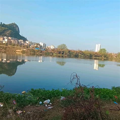 51年一特务被捕后语出惊人：害死杨靖宇的凶手，他在北京当官程斌日军敌人