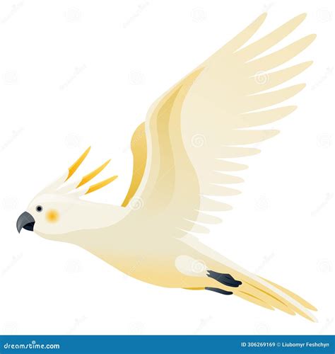 Parrot Animation Exotic Adorable Fauna Character Flight White Sulphur Crested Cockatoo