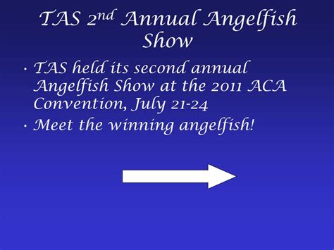 PPT TAS Angelfish Show Awards At The 2011 ACA Convention PowerPoint Presentation ID 1370151