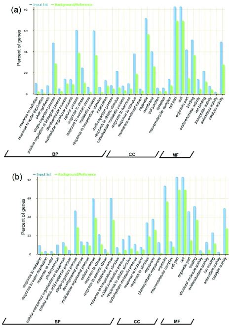 Enriched Go Terms Corresponding To Biological Processes Bp Cellular