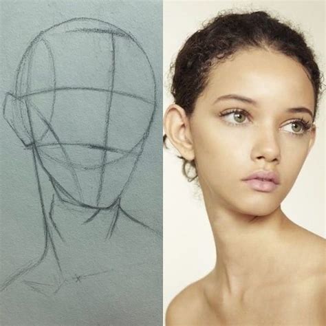 Human Figure Sketches Figure Sketching Face Proportions Tree