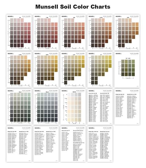 Printable Munsell Color Chart Printable