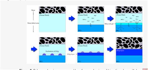 Figure 2 From Root Canal Filling Material Encyclopedia Semantic Scholar