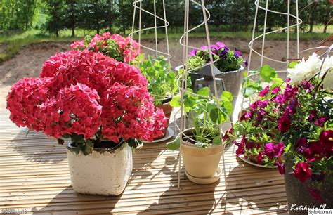 Terassi Sisustuskuvia Jäseneltä Kotikuja19 Styleroom