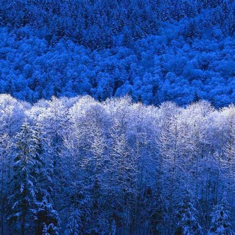 Tech And Science Youtube