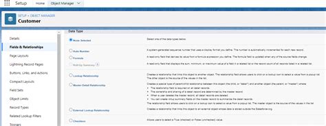 Salesforce Apex Tutorial Chapter 3 Apex Examples Crs Info Solutions