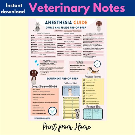 Veterinary Anesthesia Cheat Sheets Vet Tech Notes Vet Nurse Anesthesia