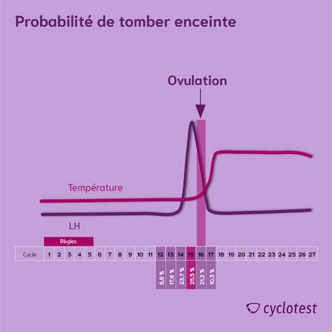 Découvrez Le Meilleur Moment Pour Tomber Enceinte Cyclotest