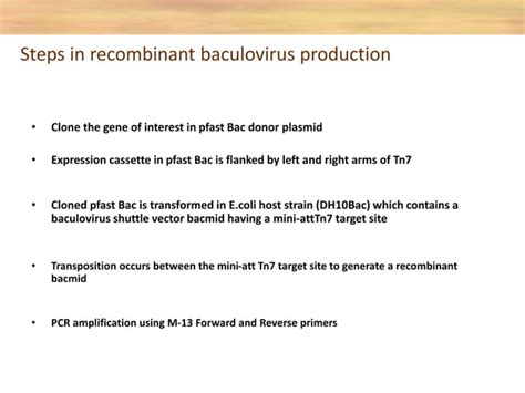 Baculovirus Expression Vector System Pptx
