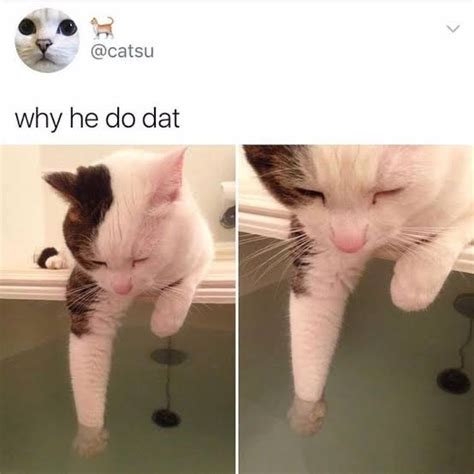 You Dont Understand Sharon Album On Imgur