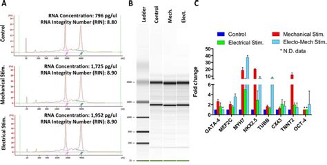 Gene Expression Analysis A Assessment Of RNA Qualities And Download Scientific Diagram