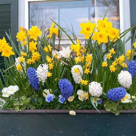 How To Make A Simple Window Box DIY And Fun