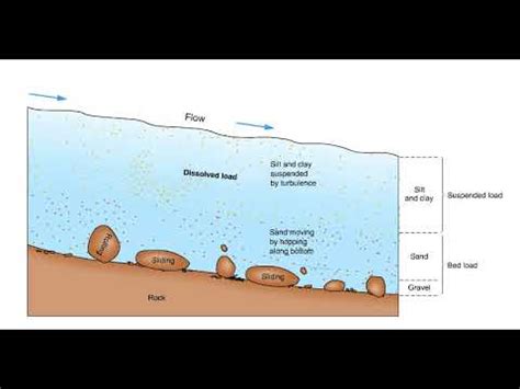 Solution Suspension Saltation Animation Youtube
