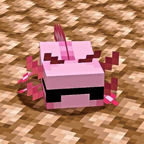 Minecraft Profile Picture