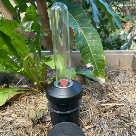 Waterups Reservoir Level Indicator Mr Fox In A Box