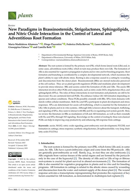 Pdf New Paradigms In Brassinosteroids Strigolactones Sphingolipids