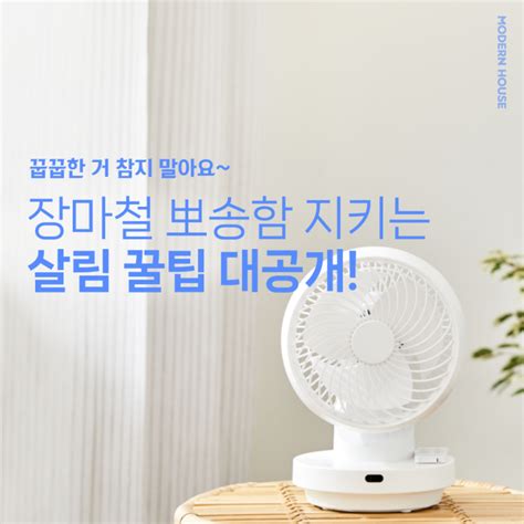 24년 장마철 시작 뽀송하게 집안 습기 제거하는 살림 꿀팁 알려드려요 네이버 블로그