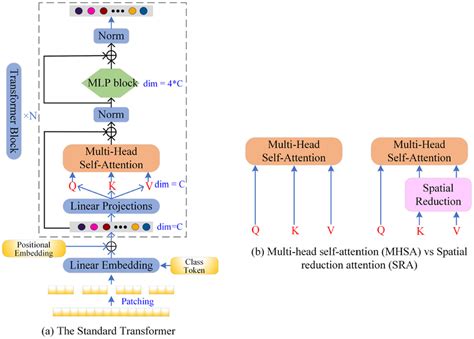 the pipeline of transformer model a the standard transformer b