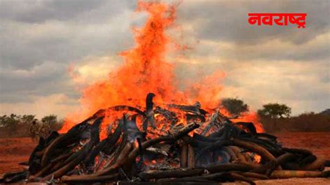 परमल उपम नह ३५ वरषपसन पतन जपन ठवलयत मत पतनचय असथ झडल बधल कलश