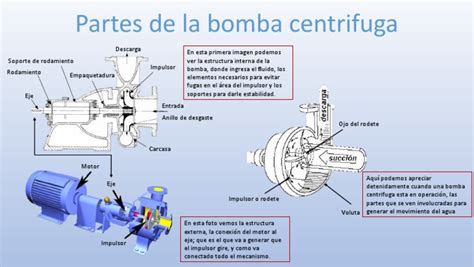 Partes De La Bomba Centrífuga Pdf