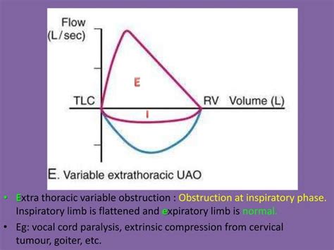 Pulmonary Flow Volume Loops Drpadmesh Pptx Lung And Respiratory