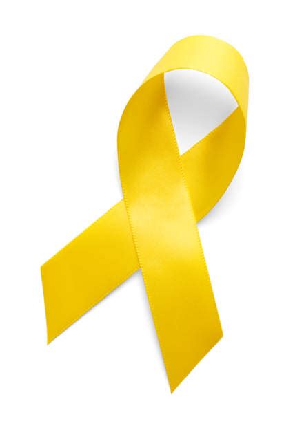 1200 Lazo Amarillo Fotografías De Stock Fotos E Imágenes Libres De